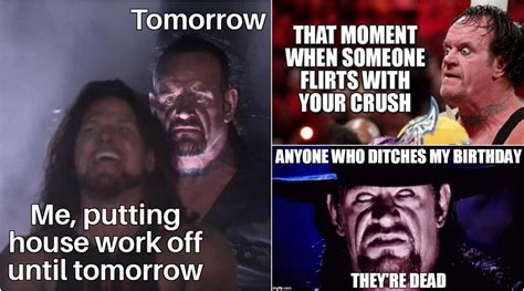 Viral News The Undertaker Retires Funny Memes And Best Fight Videos
