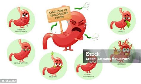 헬리코박터 파일로리 감염 증상 만화 위 캐릭터 인포그래픽 가득 찬에 대한 스톡 벡터 아트 및 기타 이미지 가득 찬 개념