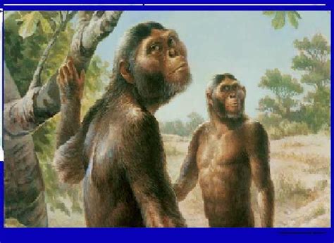 Basic Idea Of Human Evolution Class 10 Long Questions Goyal Brothers