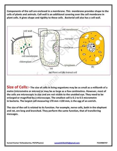 Chapter 8cell — Structure And Functions