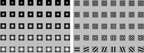 Gabor Filter A Real Part B Imaginary Part Download Scientific