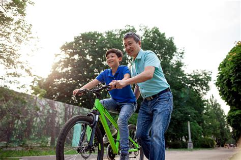 아시아인 늙은 아버지와 아들은 공원에서 함께 자전거를 타고 한국인 선배와 할아버지는 아이와 함께 활동한다 자전거 타기에 대한 스톡 사진 및 기타 이미지 Istock
