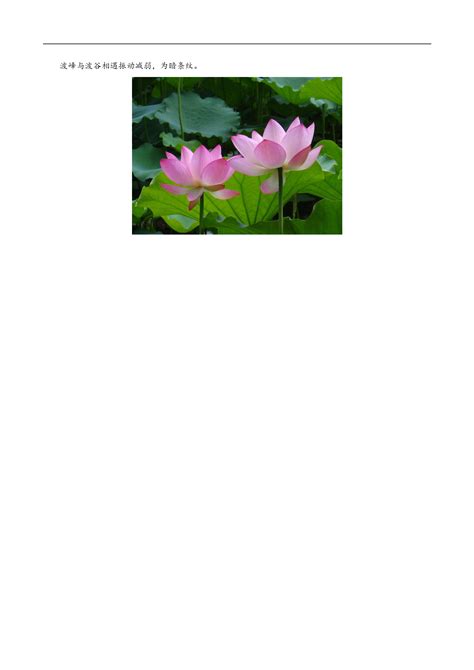 [高中物理] 考点69 光的干涉、衍射和偏振 知乎