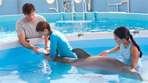 Dolphin Tale Alchetron The Free Social Encyclopedia