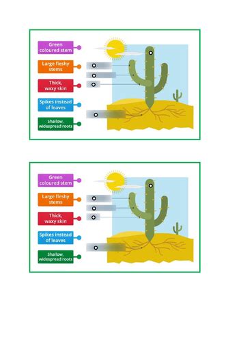 Evolution And Inheritance Plant Adaptation Year 6 Teaching Resources