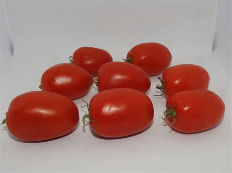 Cs 2103 Centric Seeds