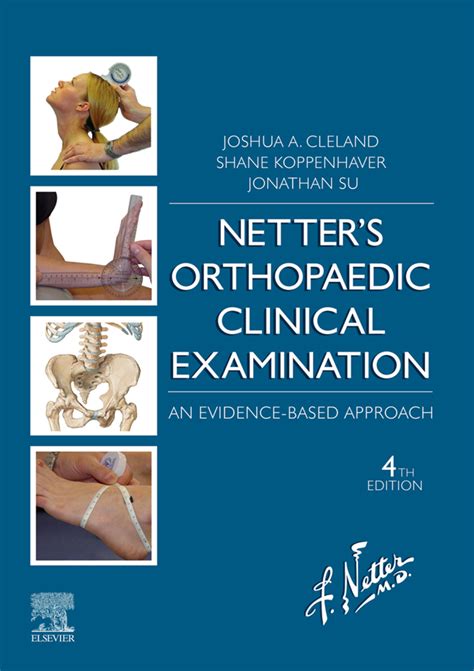 Netters Orthopaedic Clinical Examination An Evidence Based Approach