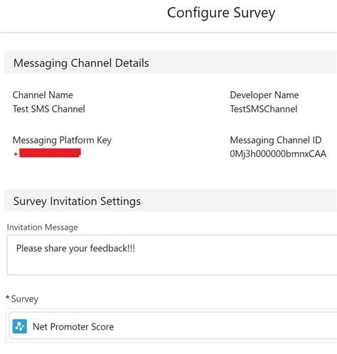 How To Setup Survey For Salesforce Digital Engagement Messaging