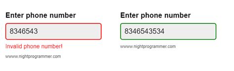 How To Validate Phone Number In Vue Js Example Night Programmer