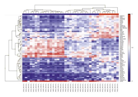Unsupervised Clustering Of Gene Expression Data In Ss Samples Pcr Download Scientific Diagram