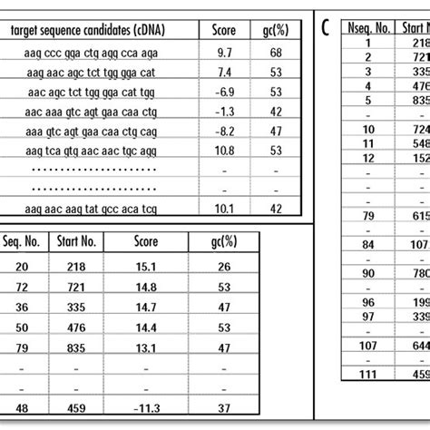 Above Sirna Target Sequence Selection Procedures A Seq Nos