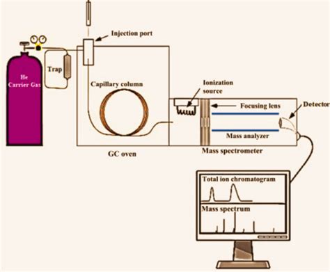 Gc Ms Working Principle Instrumentations And Applications
