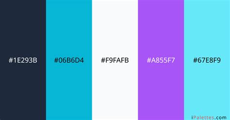 Tailwindcss Color Palette And Colors 1e293b 06b6d4 F9fafb A855f7 67e8f9 Ipalettes