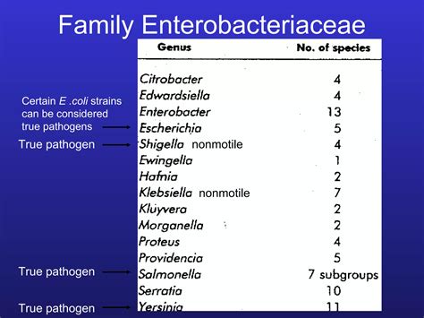 Enterobacteriaceae Ppt