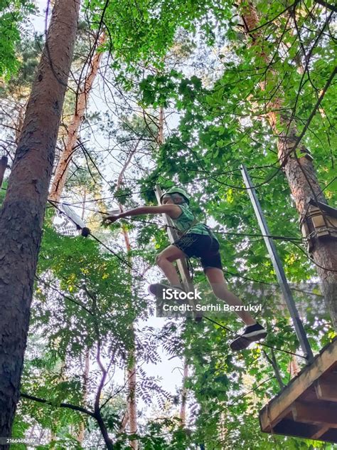 밧줄 다리 위의 놀이 공원에서 십대 소년이 밧줄을 건넙니다 나무 왕관의 배경에서 아래에서보기 10 11세에 대한 스톡 사진 및 기타 이미지 Istock