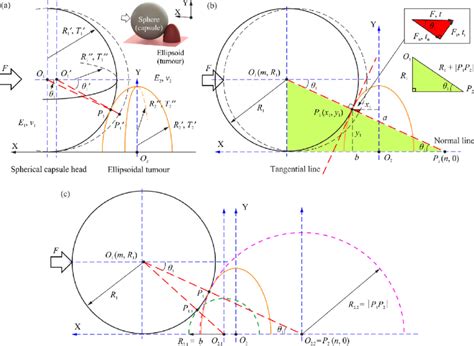 A General Schematic Of Sphere Ellipsoid Lateral Contact For
