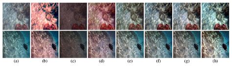 A Lightweight Multi Branch Context Network For Unsupervised Underwater