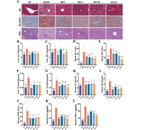 effects of xky on glucolipid metabolism and inflammatory cytokines in