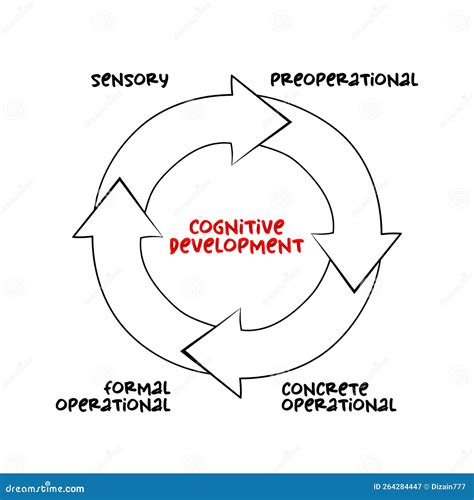 Cognitive Development Mind Map Process Concept For Presentations And Reports Stock Illustration