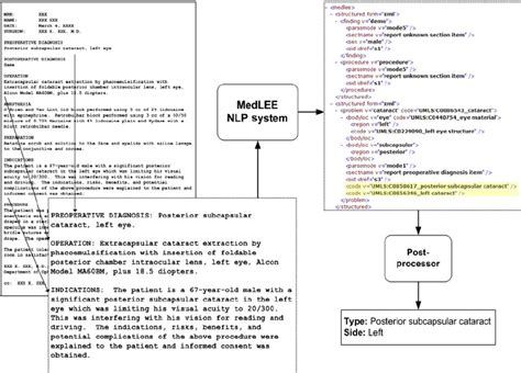 Natural Language Processing Of Clinical Narratives Textual Documents Download Scientific