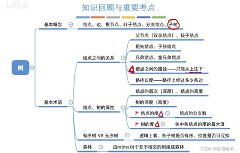 511 树的定义和基本术语 Csdn博客