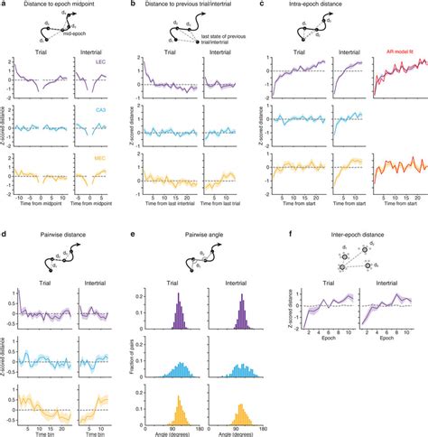 Evolution Of LEC Population Dynamics Structure And Evolution Of LEC Download Scientific Diagram