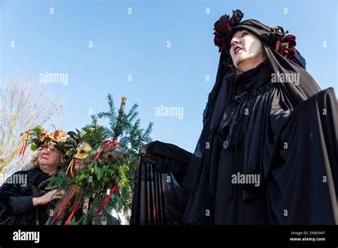 Emotional Protesters Watching Holt Farm Oak Tree Being Chopped Down