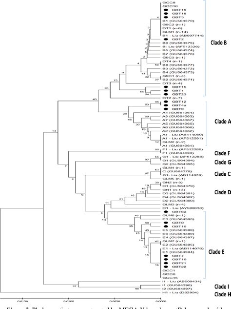 Figure 2 From Genetic Diversity Of Mitochondrial Dna D Loop Sequence In Bang Troi Chicken Breed