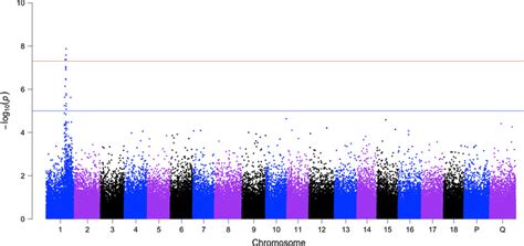 Manhattan Plots For Genome Wide Diagnosis Of Association Signals Based