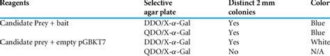 Co Transformation Scheme Of Candidate Prey With Bait And Empty Bait