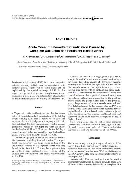Pdf Acute Onset Of Intermittent Claudication Caused By Complete Occlusion Of A Persistent