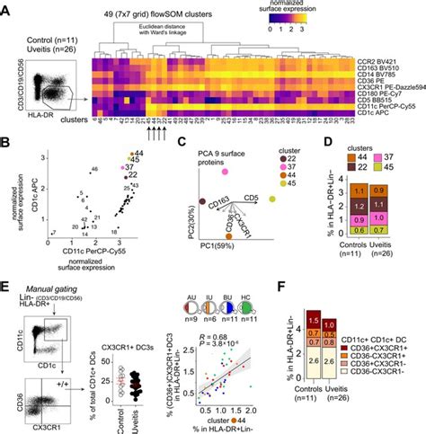 Figures And Data In Transcriptome Network Analysis Implicates Cx3cr1 Positive Type 3 Dendritic