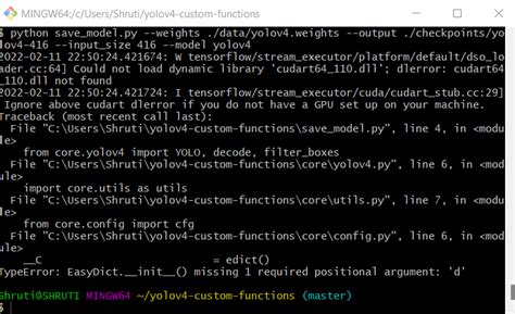 save model py is not working · issue 79 · theaiguyscode yolov4 custom