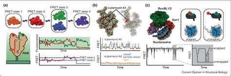 Figure 3 From Recent Advances In Single Molecule ﬂuorescence Microscopy Render Structural