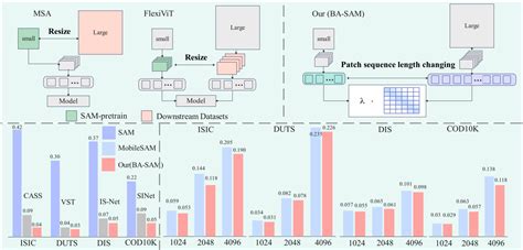 论文审查 Ba Sam Scalable Bias Mode Attention Mask For Segment Anything Model