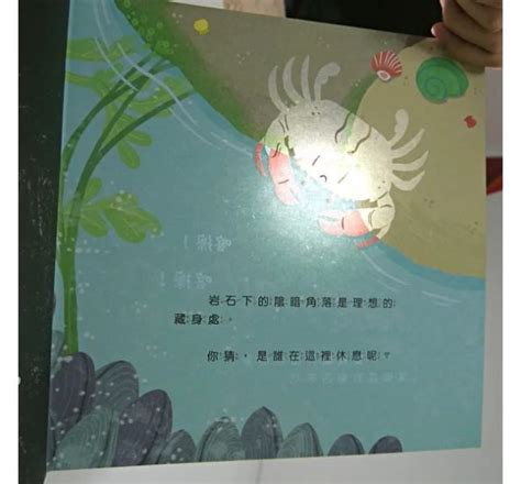 維京 光影魔術海岸邊的祕密 幼教資源採購網