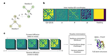 Nat Comput Sci 基于评分的生成建模用于全新蛋白质设计 知乎