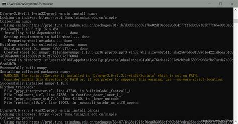 Win10安装pypy踩的坑（第三方库）pypy 不支持哪些库 Csdn博客