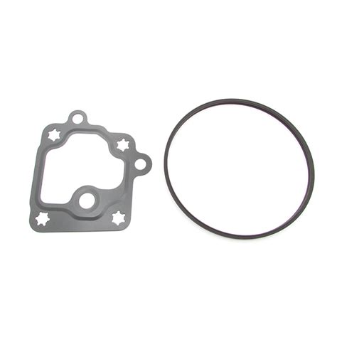 Buick Cadillac Chevrolet Gmc 12696313 Vacuum Pump Seal Kit Mj