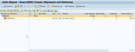 Defining Selection Variants For Shipments Sap Community