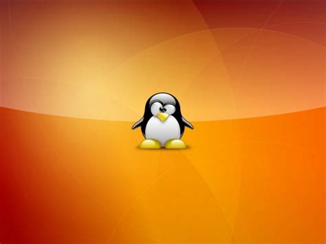 Linux Ubuntu — що це Як встановити Лінукс Убунту на свій компютер