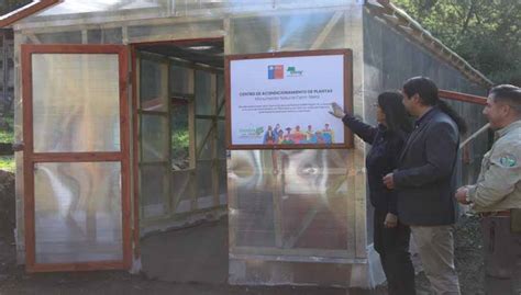 Conaf Inaugura Primer Módulo Demostrativo De Producción De Árboles Nativos Temuco Televisión