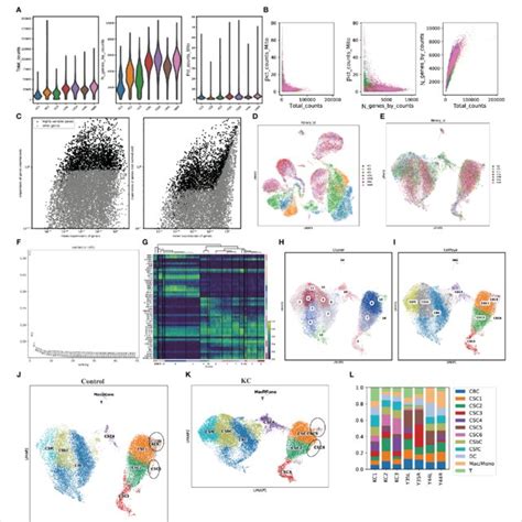 Scrna Seq Data Processing A The Violent Plots Of The Genes