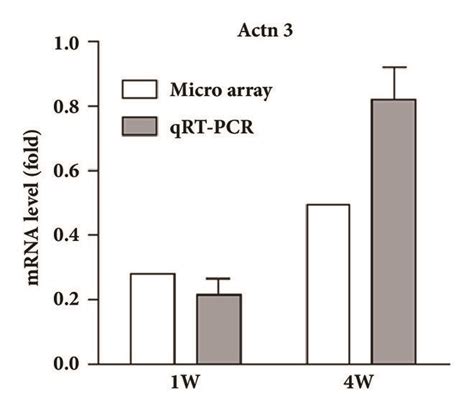 validation of microarray gene expression patterns using qrt pcr