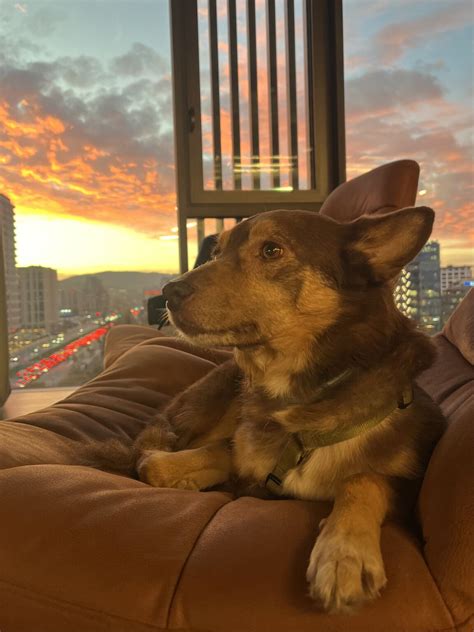 След дългата ми креативна пауза се радвам да споделя че се присъединих