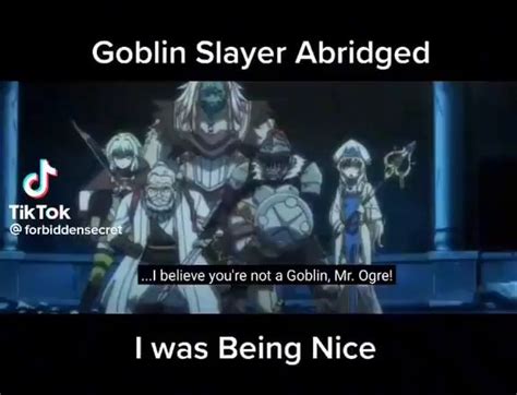 Goblin Slayer Abridged TikTOK Believe Nota Goblin Mr Ogre I Was