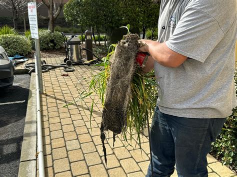 Challenges Of Different Types Of Gutter Debris For Gutter Vacuum Syste