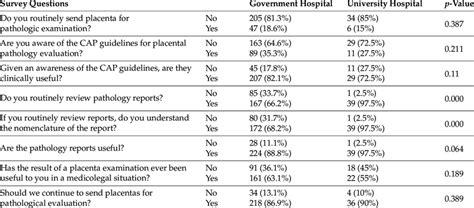 Bivariate Analysis Comparing The Responses To The Survey Questions