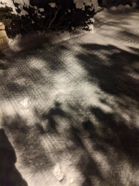 Shadows Not Rendering Correctly Rmildlyinteresting