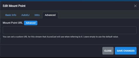 Edit Mount Point Advance In V0190 Is Missing For Custom Xml · Issue 6519 · Azuracast